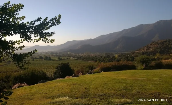 Ruta del Vino Cachapoal » Tours en el Valle de Cachapoal