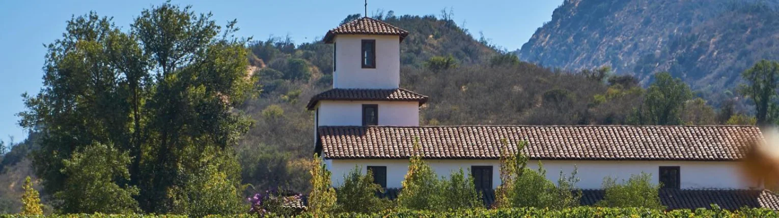 Tour en la Ruta del Vino de Cachapoal: Viñas, Historia y Degustaciones ...